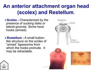PARASITIC WORMS (HELMINTHS) | PDF