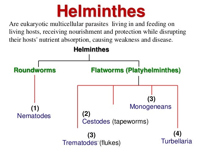 PARASITIC WORMS (HELMINTHS)