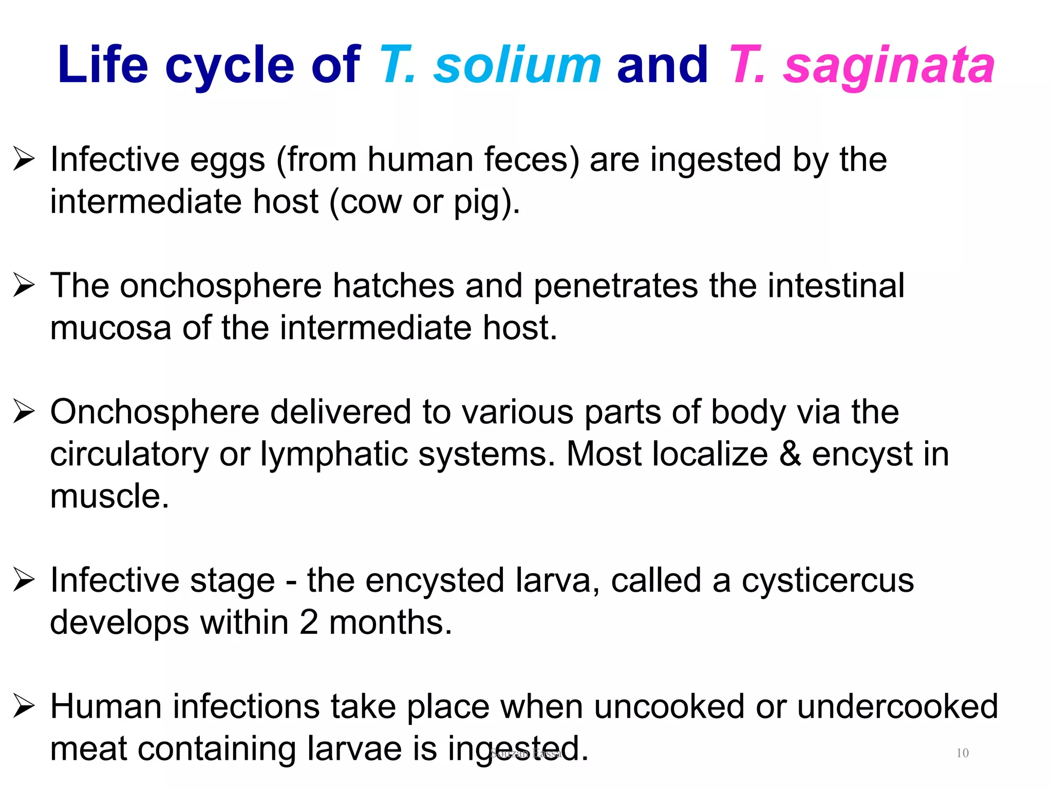 Cestodes (The Taeenid tapeworms) | PPT