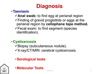 Cestodes (The Taeenid tapeworms) | PPT