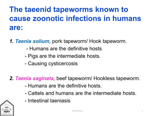 Cestodes (The Taeenid tapeworms) | PPT