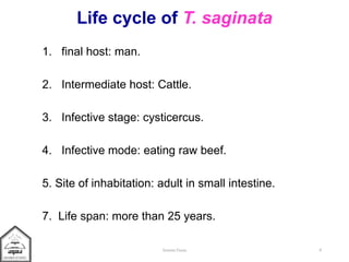 Cestodes (The Taeenid tapeworms) | PPT
