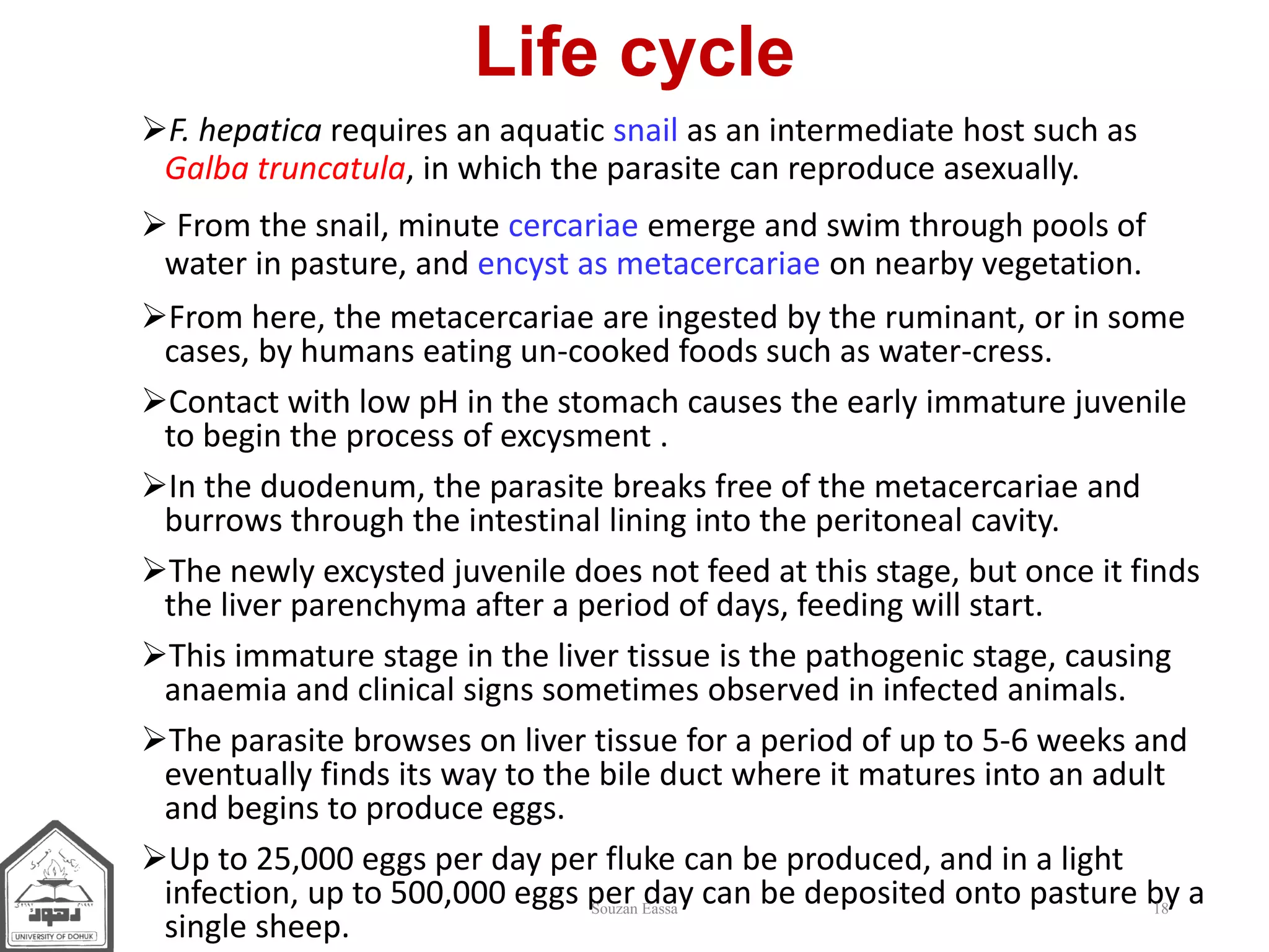 PARASITIC WORMS (HELMINTHS) | PDF