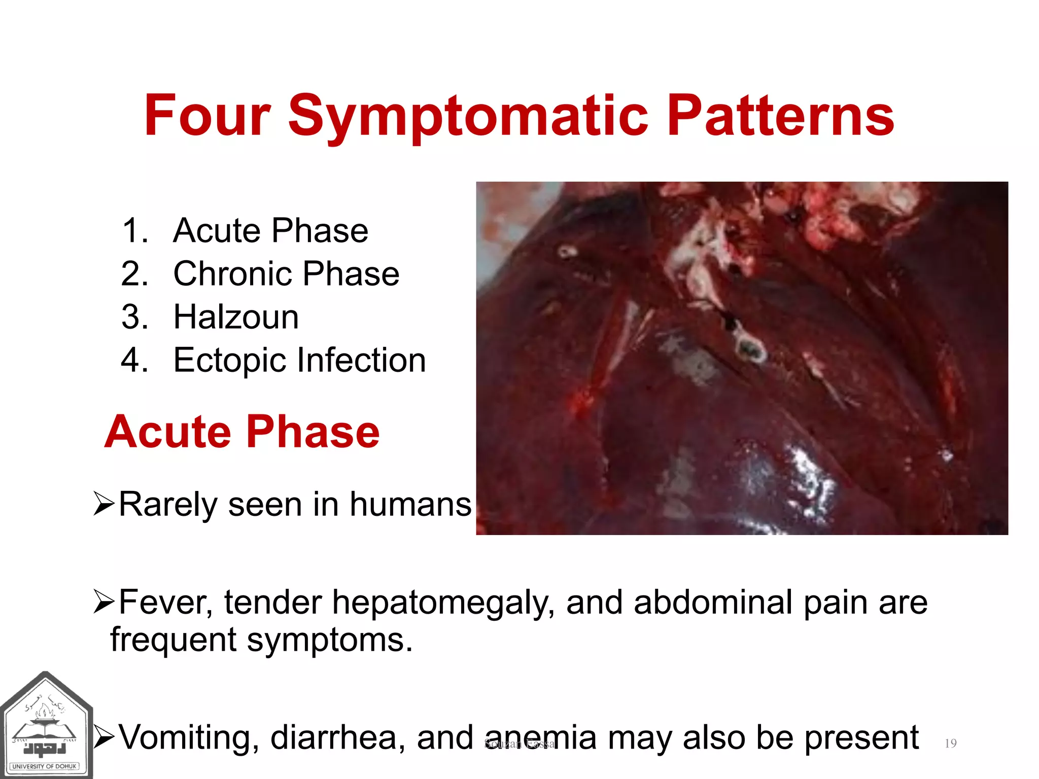 PARASITIC WORMS (HELMINTHS) | PDF