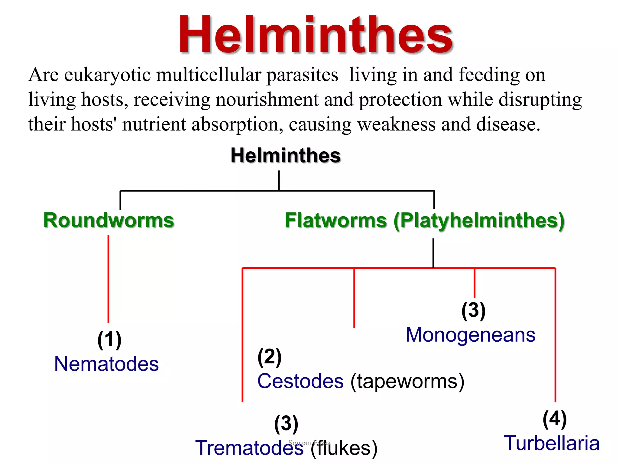 PARASITIC WORMS (HELMINTHS) | PDF