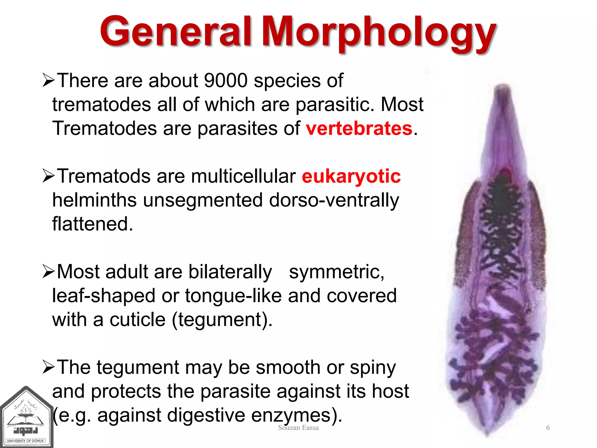 PARASITIC WORMS (HELMINTHS) | PDF