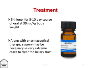 PARASITIC WORMS (HELMINTHS) | PDF