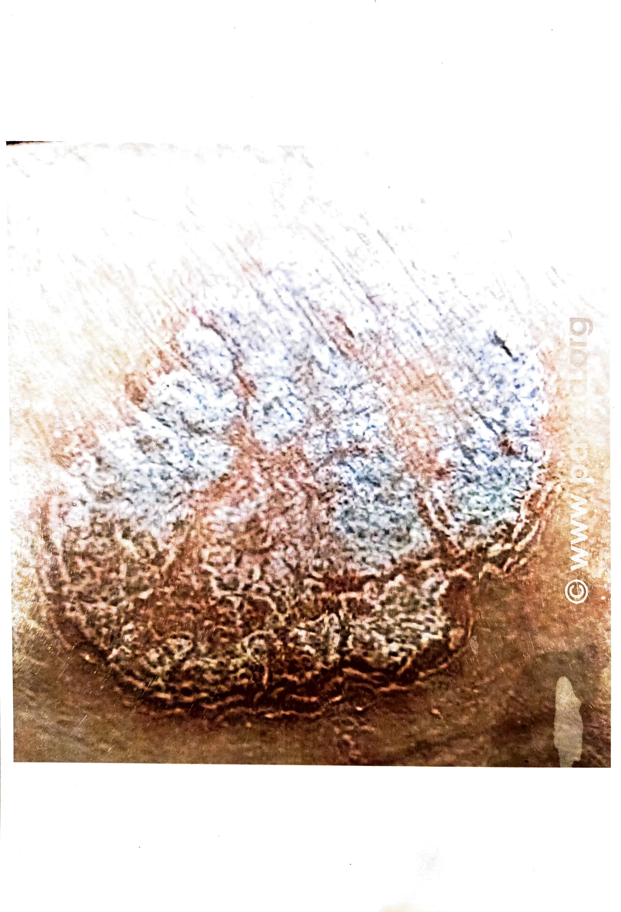 General Medicine OSCE chart with details .pdf