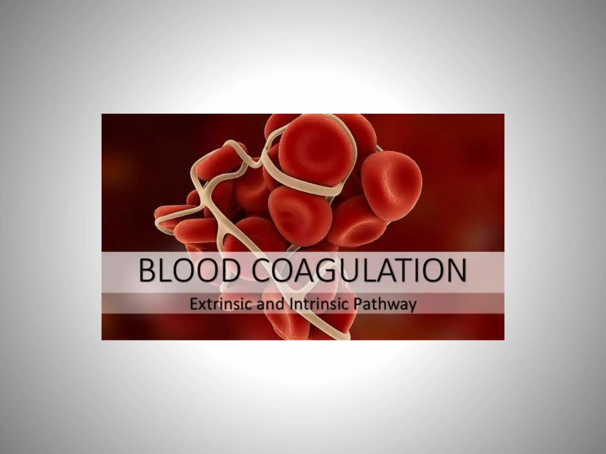 Coagulation pathway | PPTX