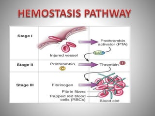 Coagulation pathway | PPTX