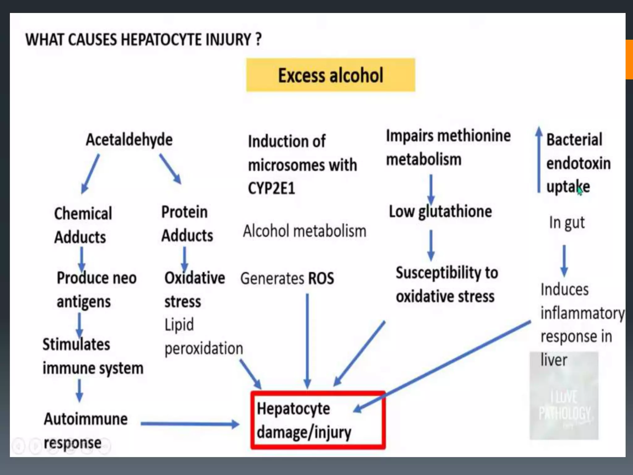 chronic liver disease (CLD) | PPTX