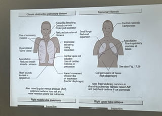 medicine x ray, data, prob (final)(1).pdf