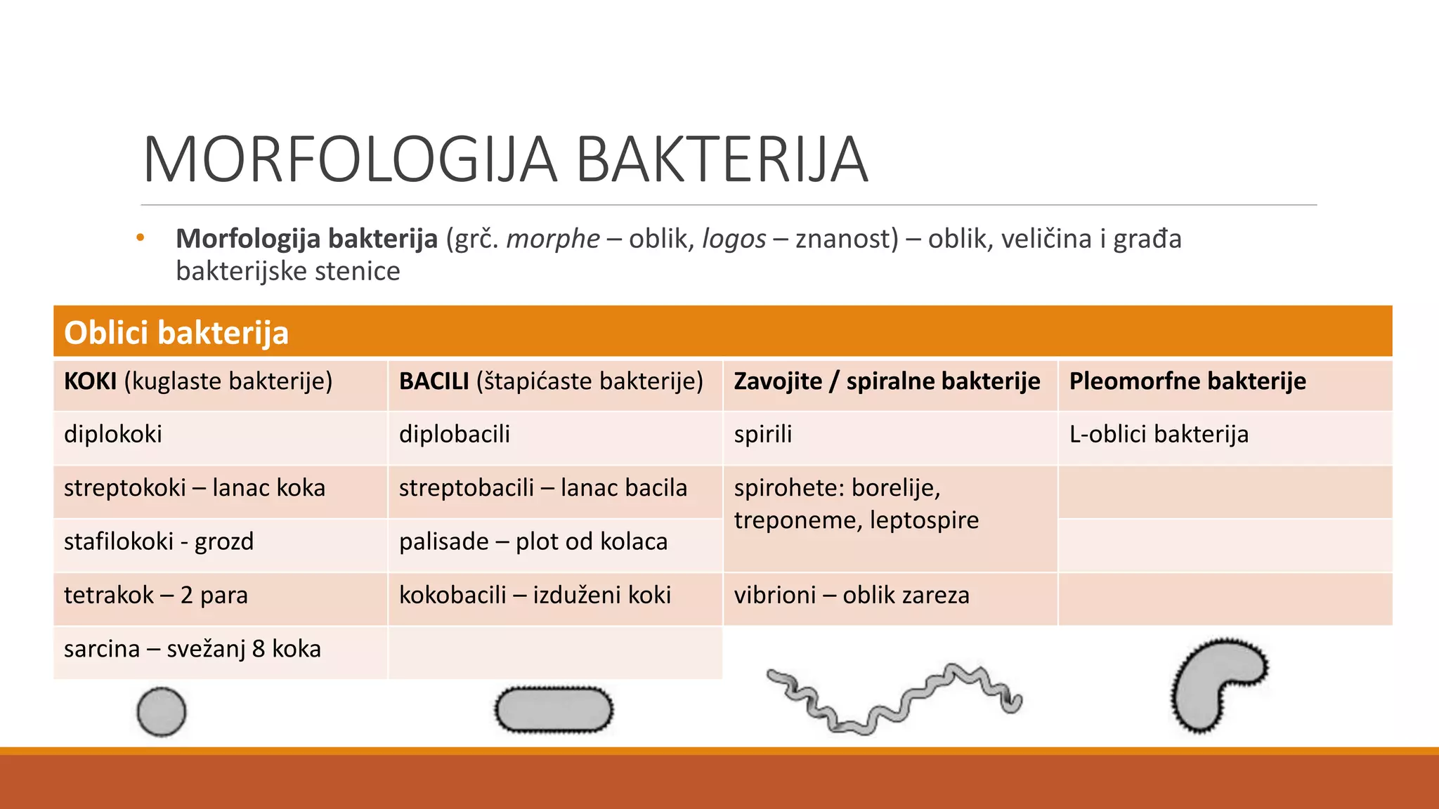 Medicinska bakterilogija | PPSX