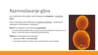 Medicinska mikologija | PPSX
