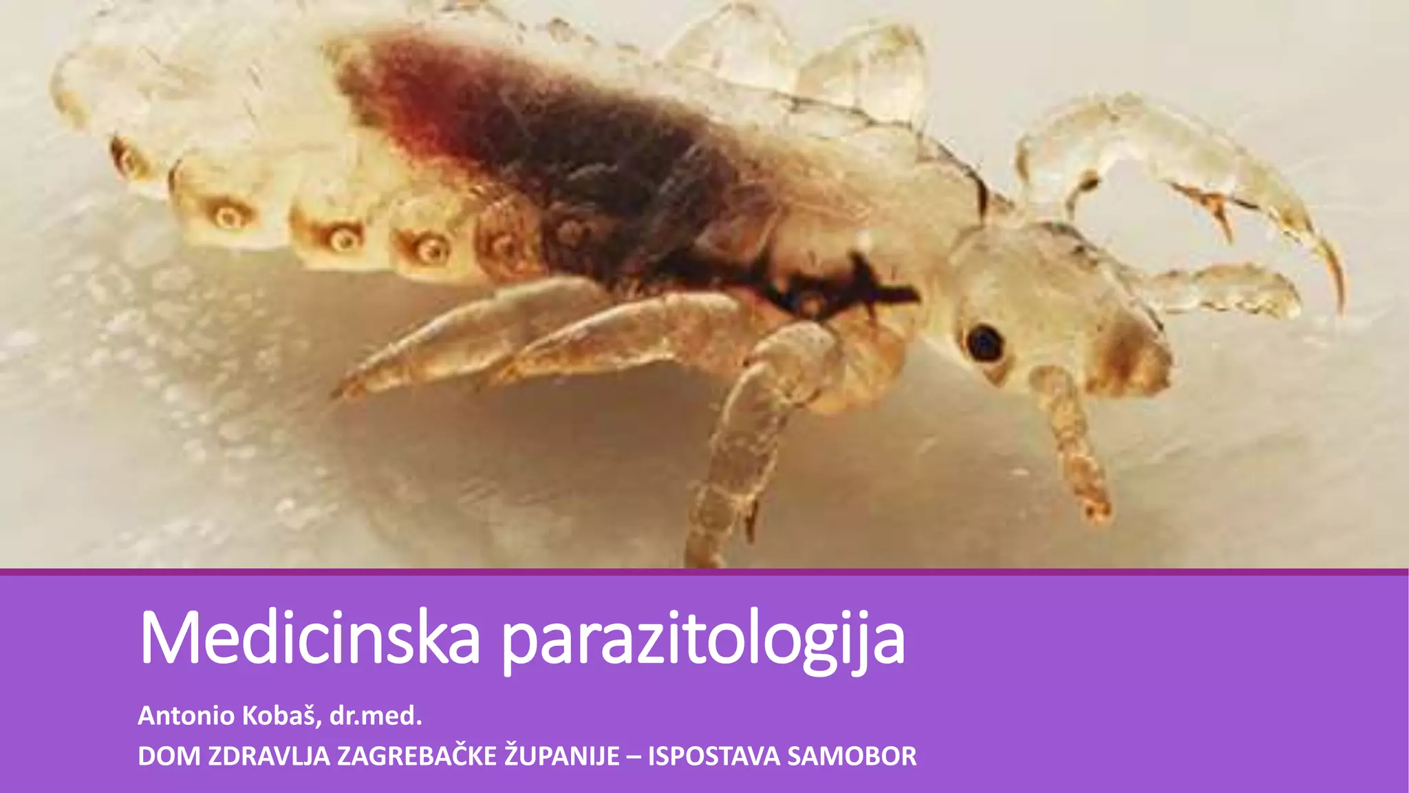 Medicinska parazitologija | PPSX