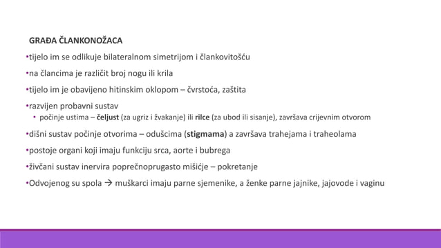 Medicinska parazitologija | PPSX