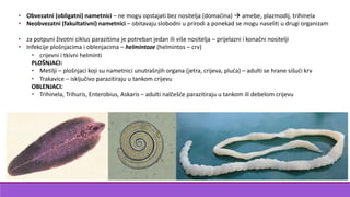 Medicinska parazitologija | PPSX