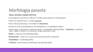 Medicinska parazitologija | PPSX