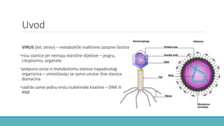 Medicinska virologija | PPSX