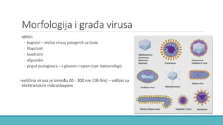 Medicinska virologija | PPSX