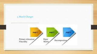 Medicolegal aspects of death | PPTX