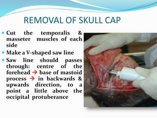 Medico-Legal Autopsy Techniques | PPTX
