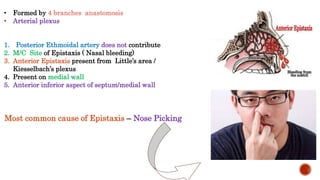 Epistaxis presentation by YML | PPT