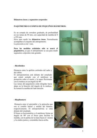 Medidas antropométricas | PDF