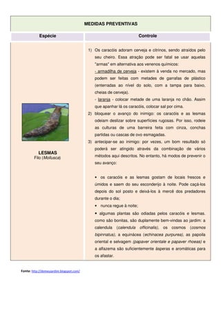 Medidas de controle veotorial e de animais sinant´ropicos | PDF