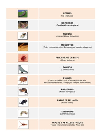Medidas de controle veotorial e de animais sinant´ropicos | PDF