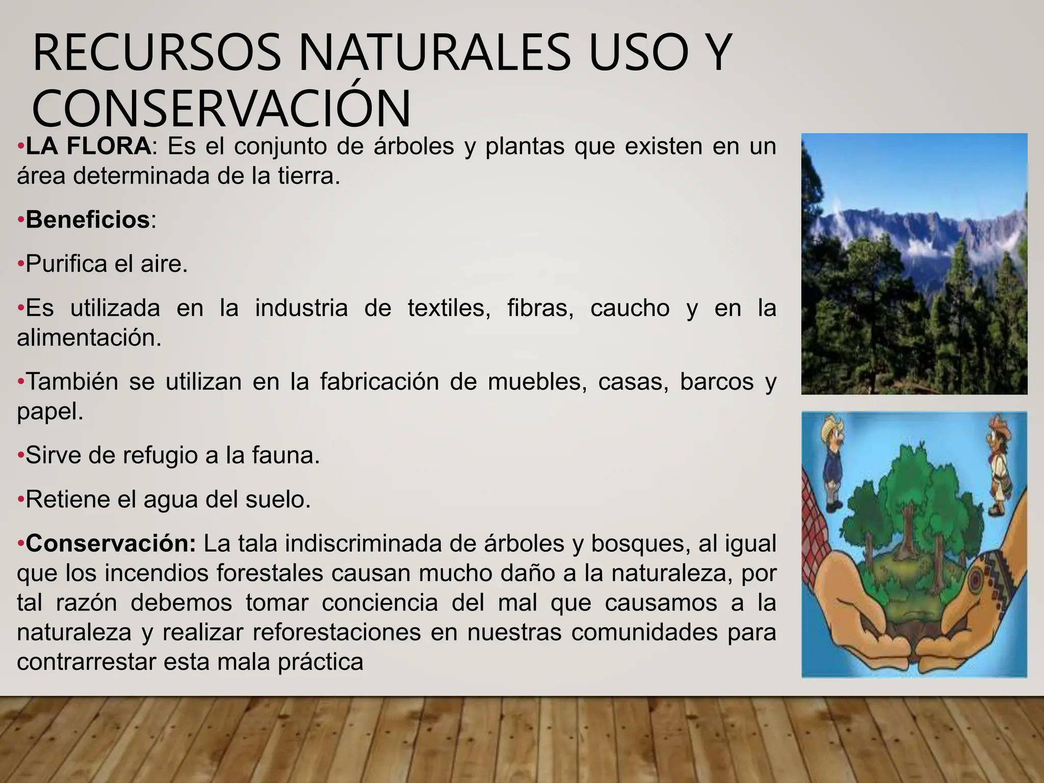 Medidas de protección y conservación de los recursos naturales.pptx