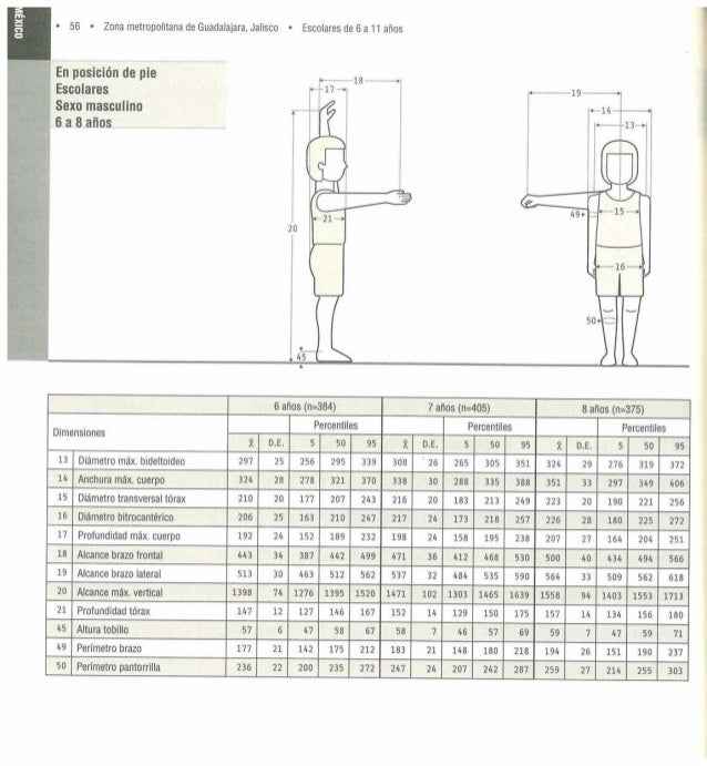 Medidas latinoamericanas, Dimensiones antropométricas de población la…