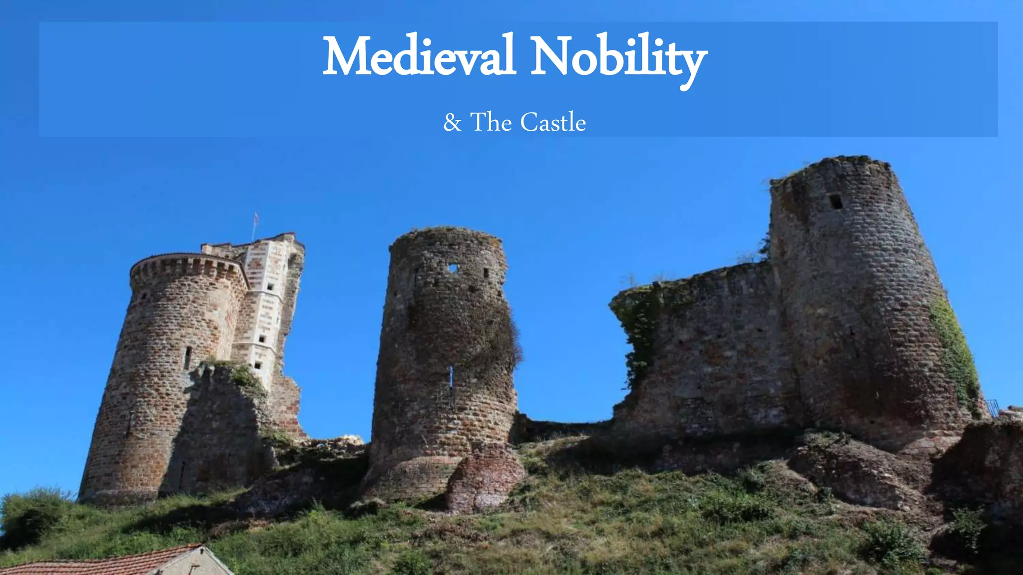 Medieval Nobility and Castles | PPTX