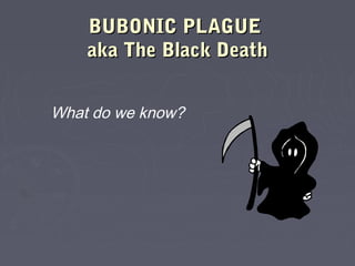 Bubonic Plague Slides | PPT