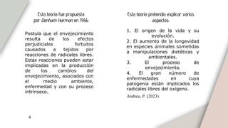 Medina-oct 2023 Teoría de los radicales libres.pptx