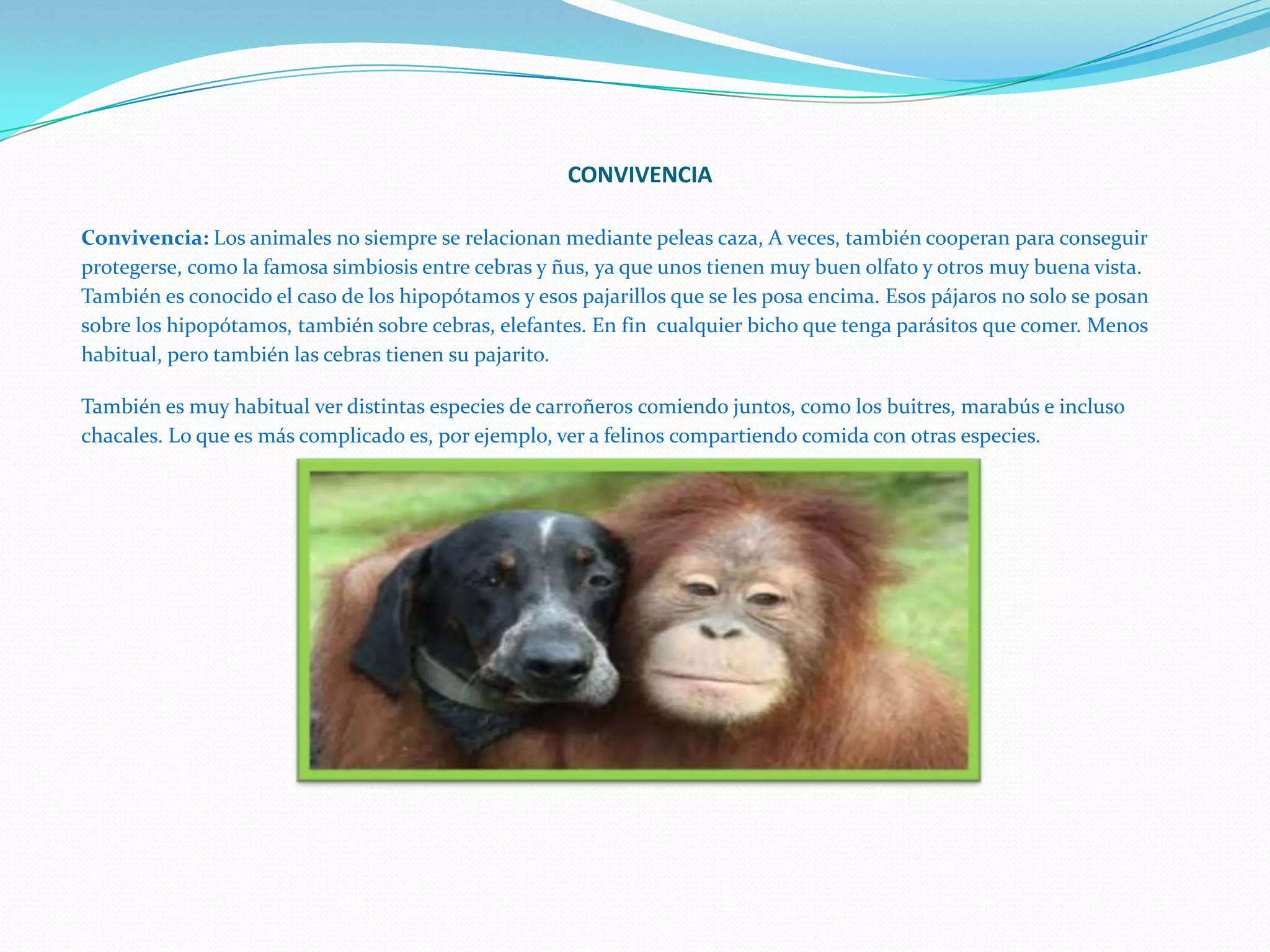 Medio ambiente y su relación con los seres vivos | PPTX