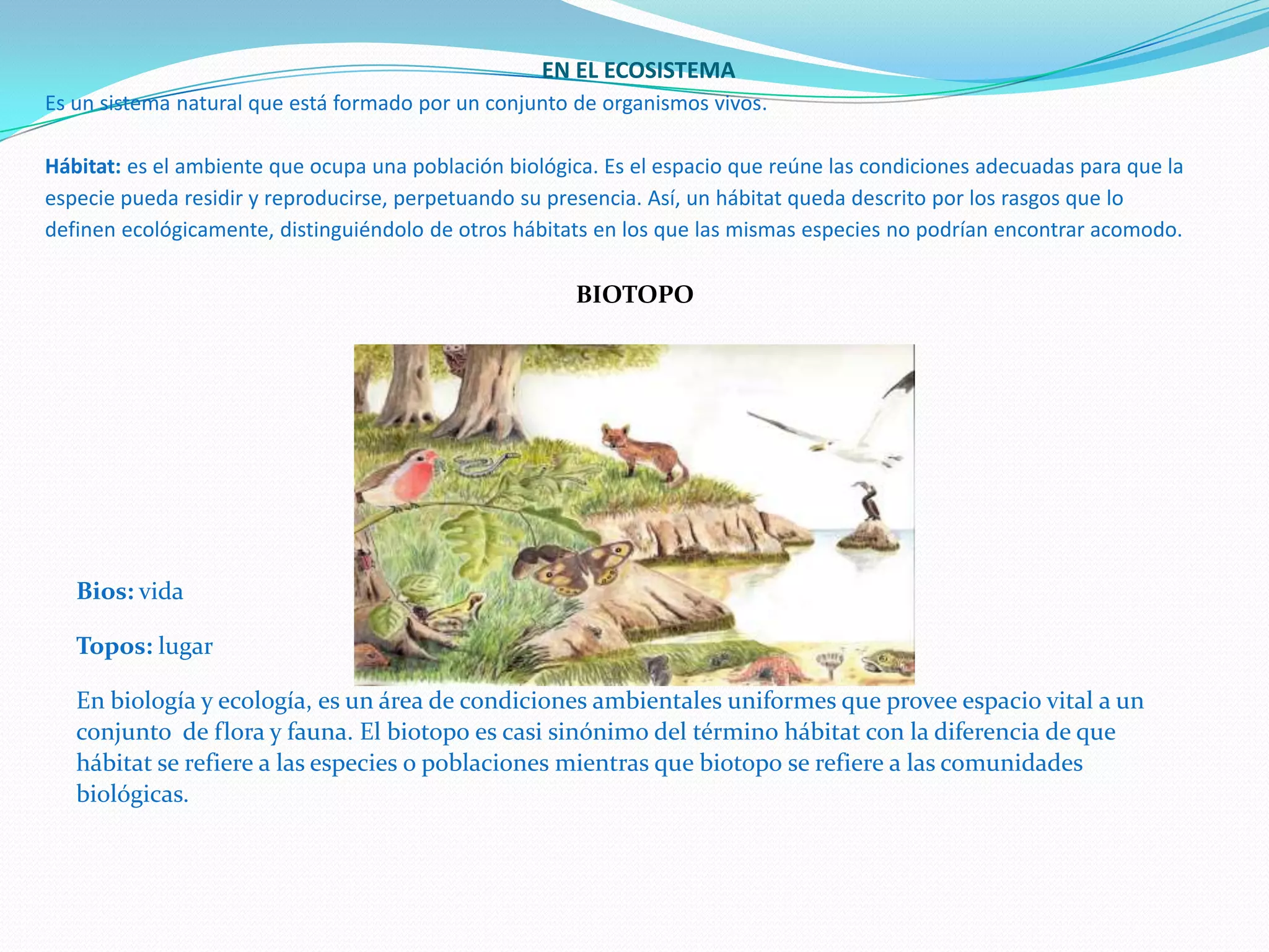 Medio ambiente y su relación con los seres vivos | PPTX