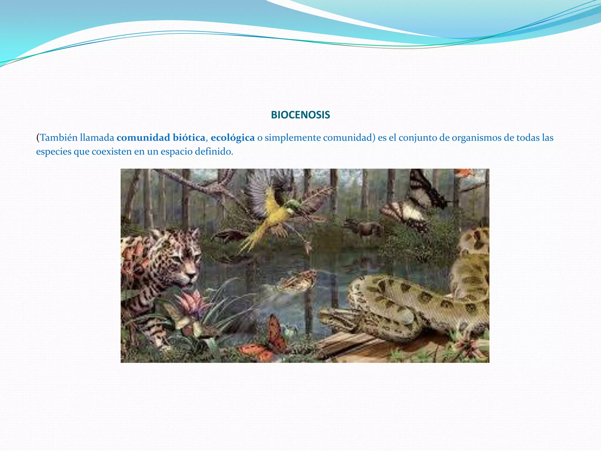 Medio ambiente y su relación con los seres vivos | PPTX
