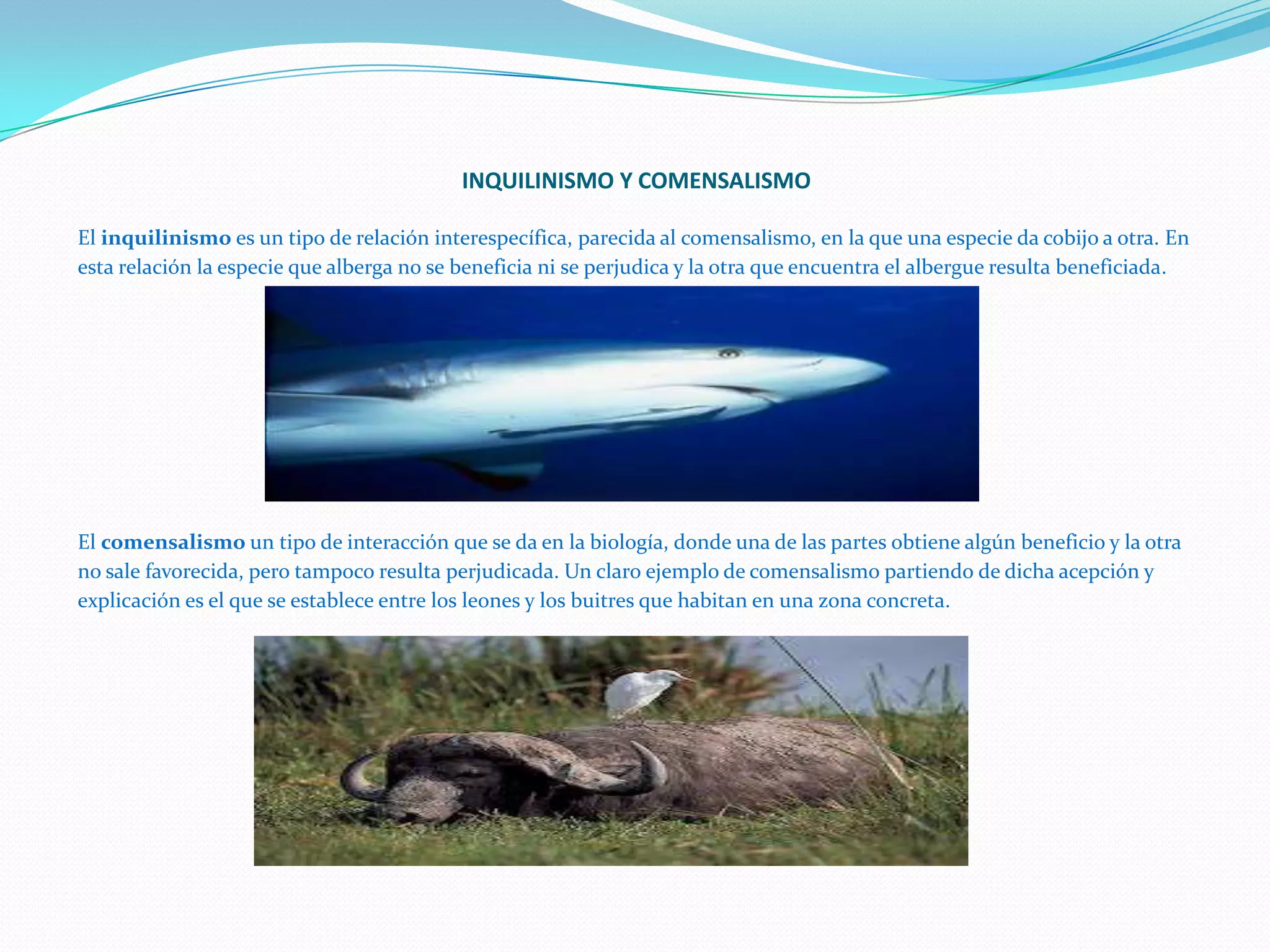 Medio ambiente y su relación con los seres vivos | PPTX