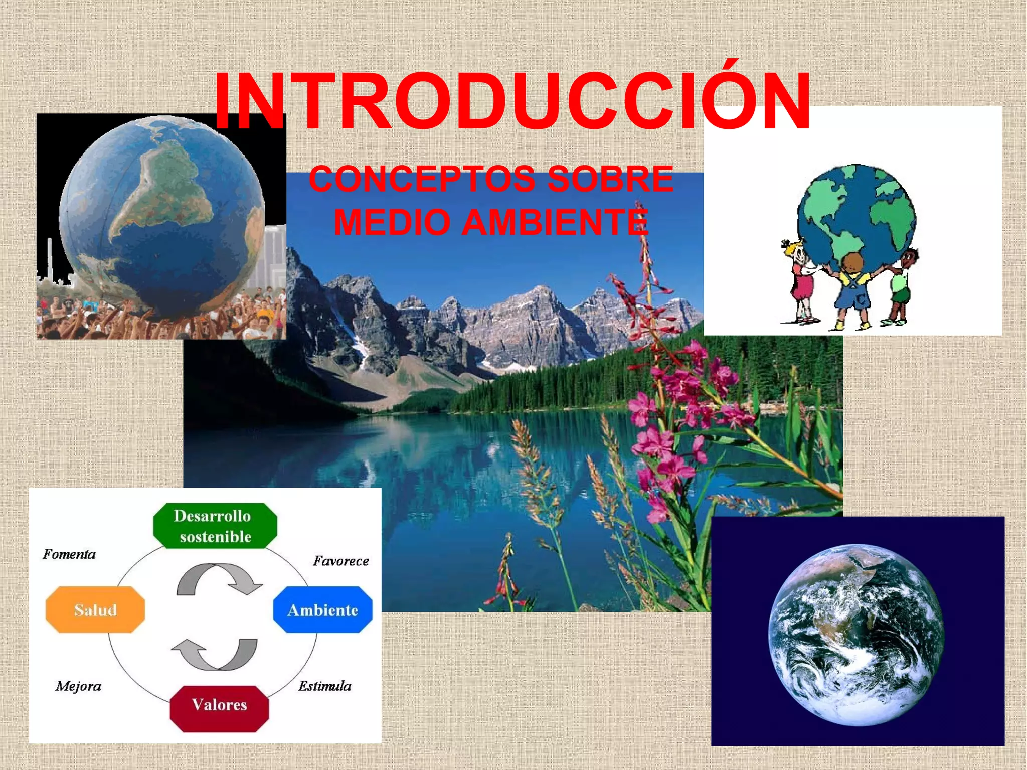 Medio Ambiente | PPT