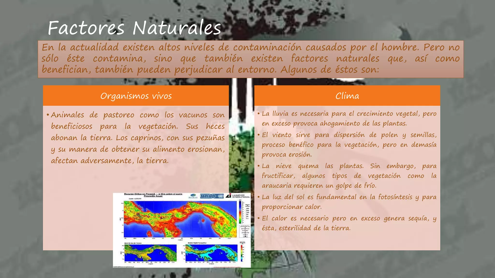 Medio ambiente | PPT
