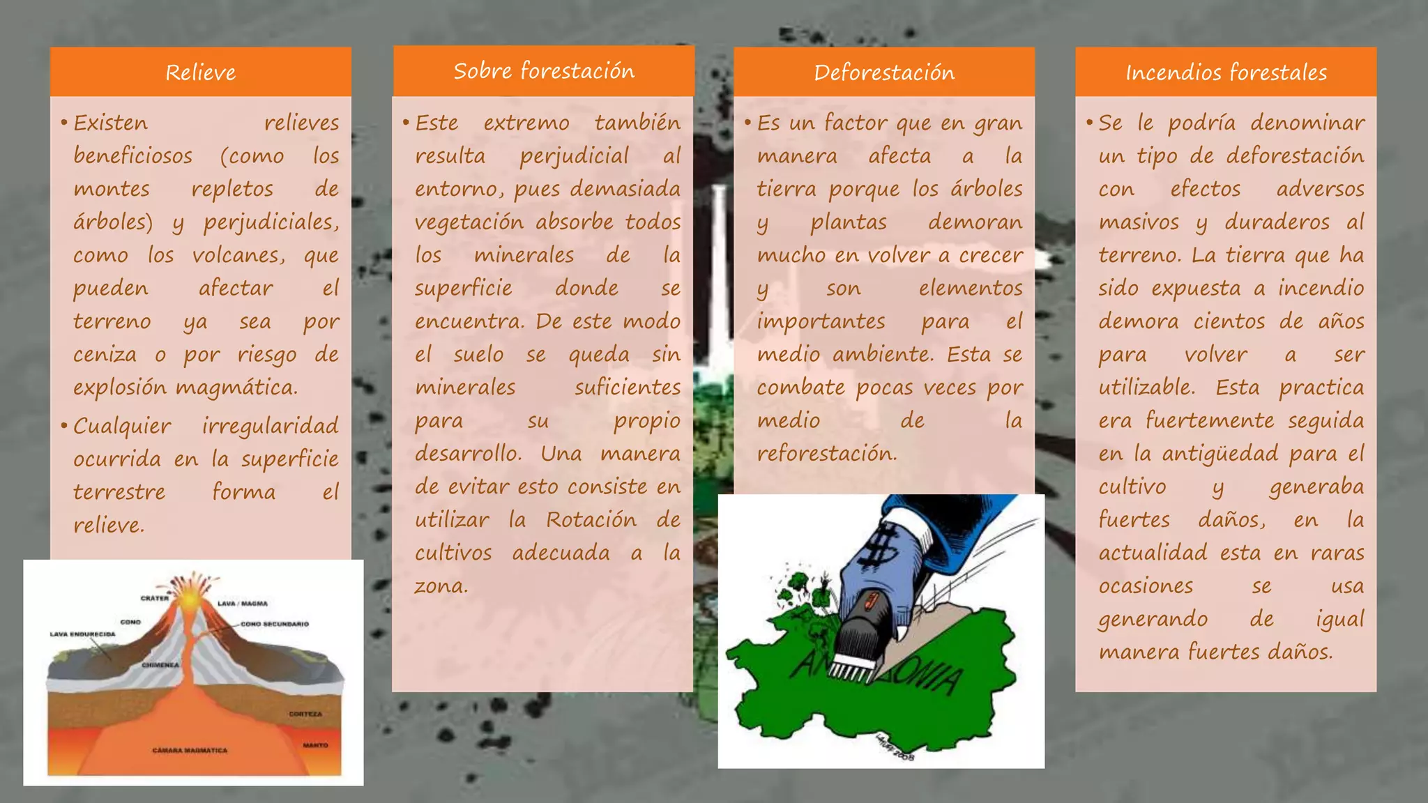 Medio ambiente | PPT