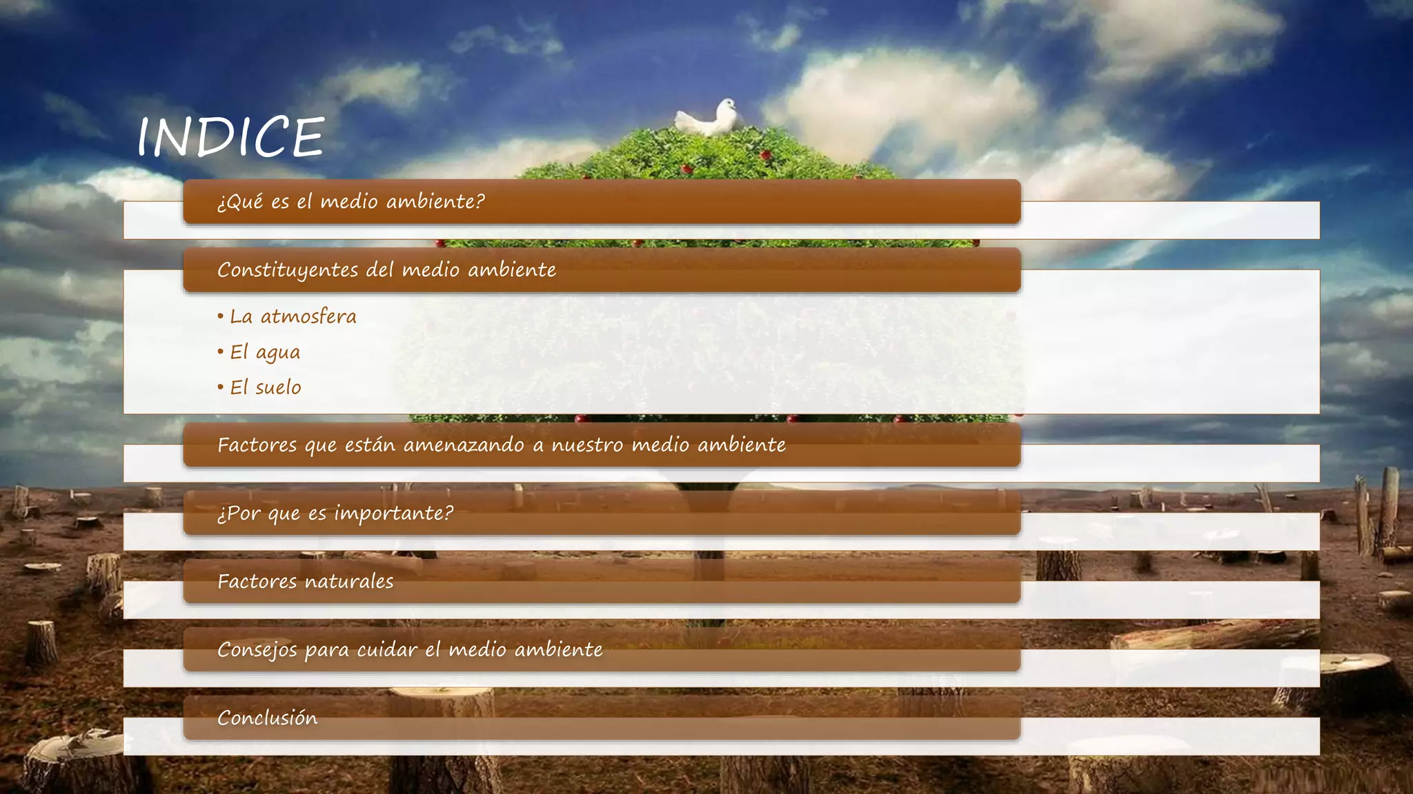 Medio ambiente | PPT