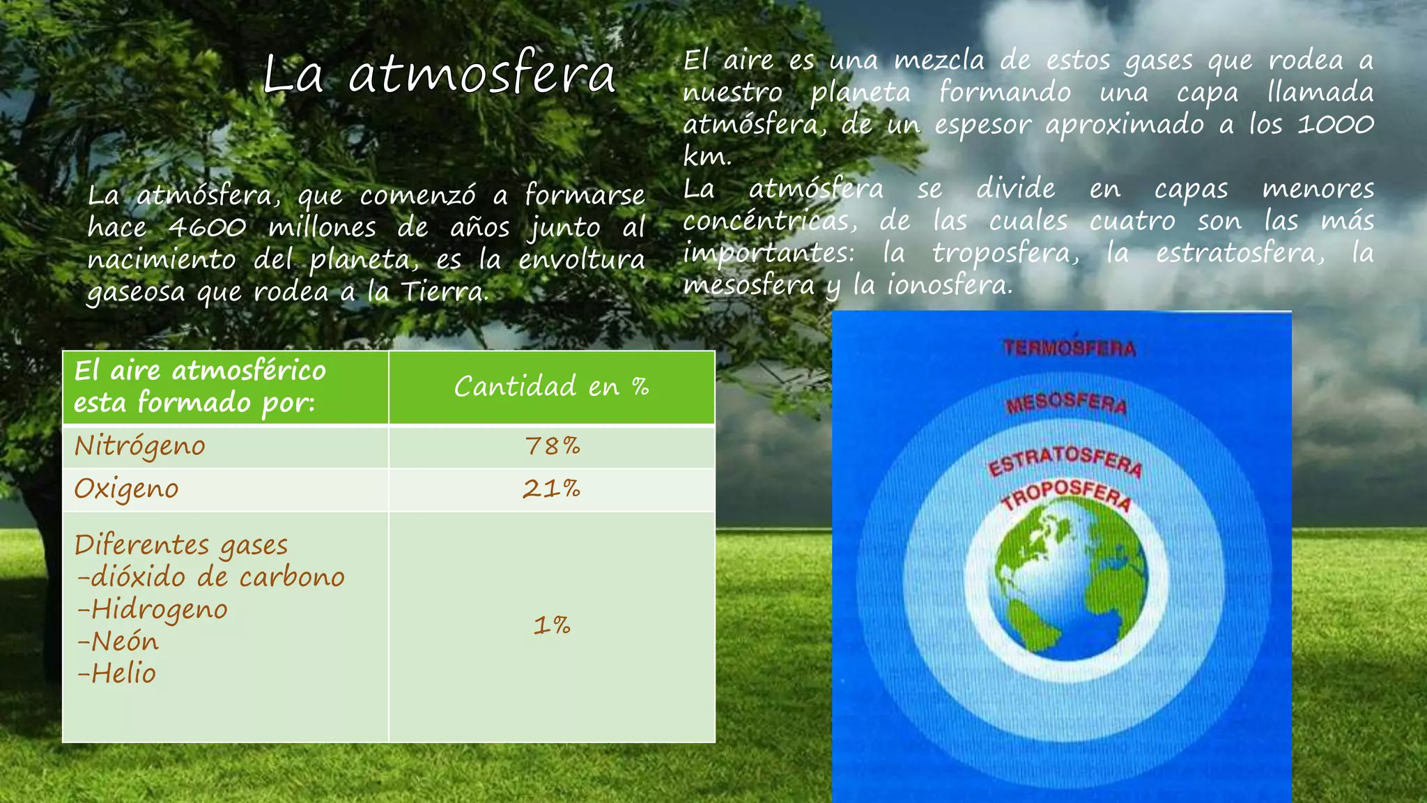 Medio ambiente | PPT