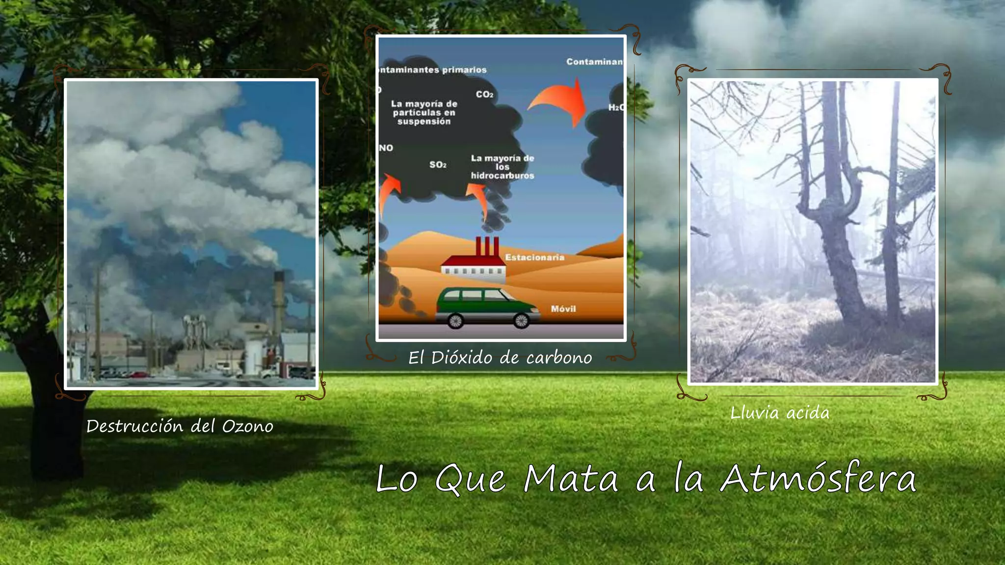 Medio ambiente | PPT