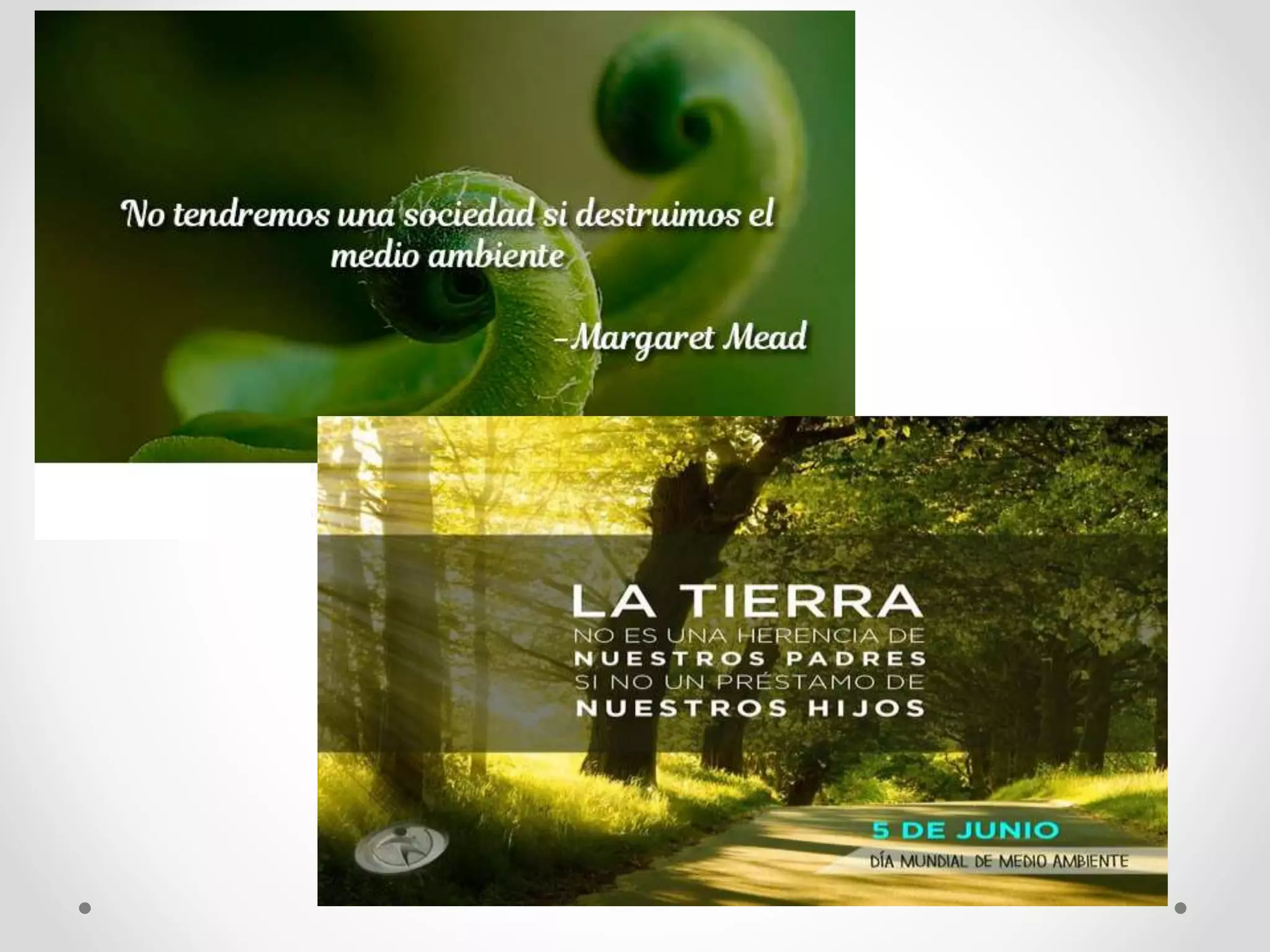 Medio ambiente | PPT