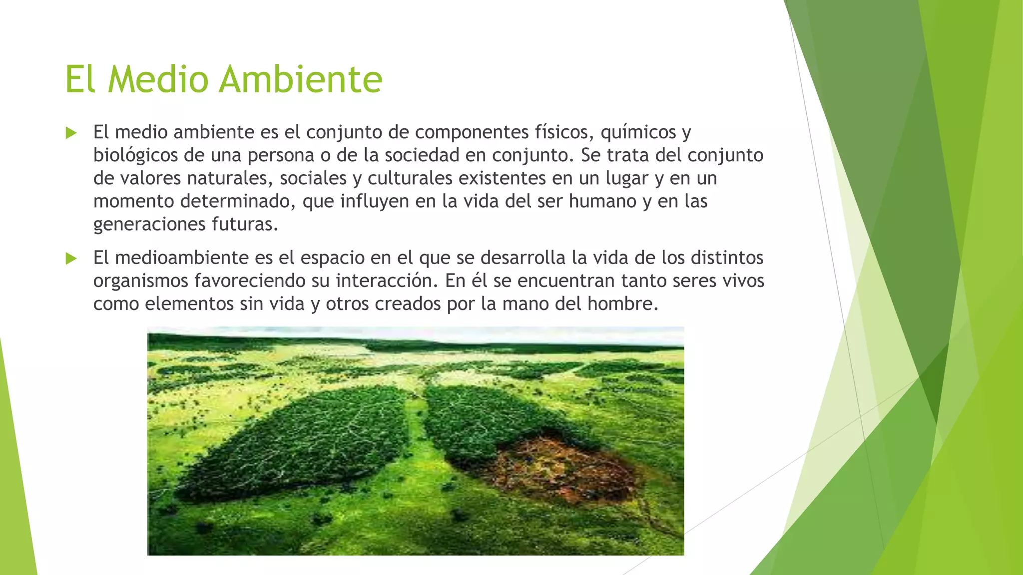 Medio ambiente | PPTX