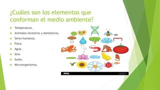 Medio ambiente | PPTX