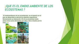 PRESENTACION EDUCATIVA SOBRE EL MEDIO AMBIENTE | PPTX
