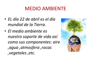 Medio ambiente en mi localidad | PPTX